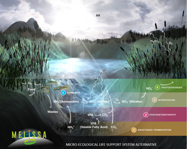 What would it take to build a self-sustaining astronaut ecosystem on ...