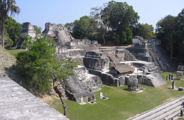 Maya reservoirs relied on aquatic plants like water lilies to help keep ...