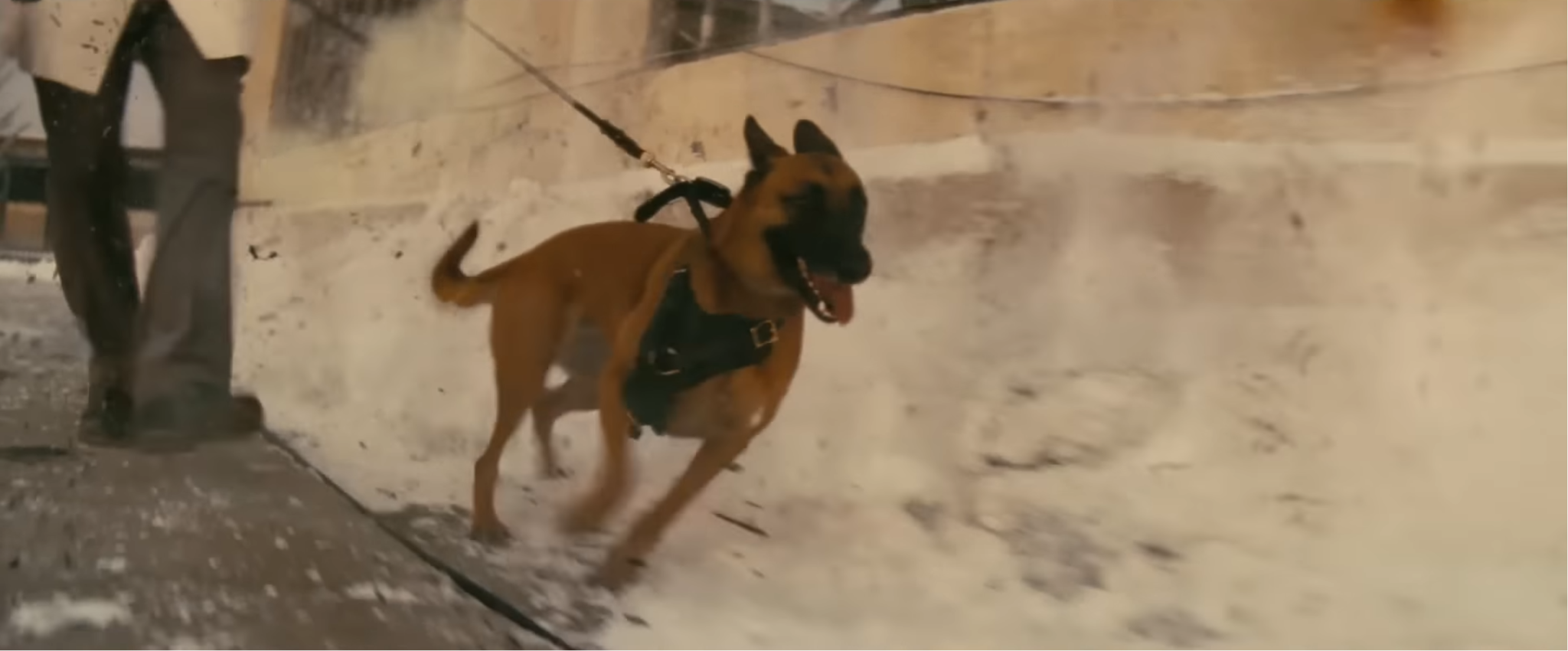 The Fallout TV series trailer is here, and it’s loaded with homages to ...