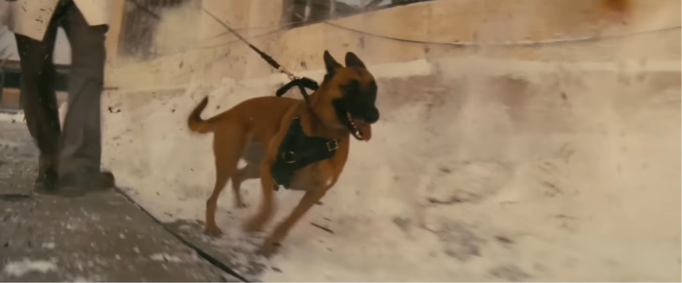 The Fallout TV series trailer is here, and it’s loaded with homages to ...