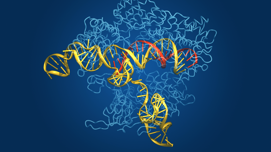New algorithm finds lots of gene-editing enzymes in environmental DNA ...