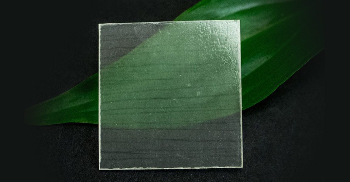 Why scientists are making transparent wood - Ars Technica