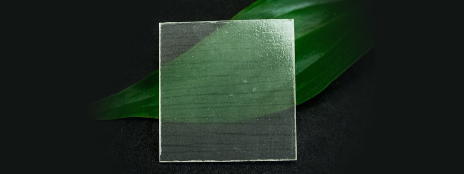 Why scientists are making transparent wood - Ars Technica