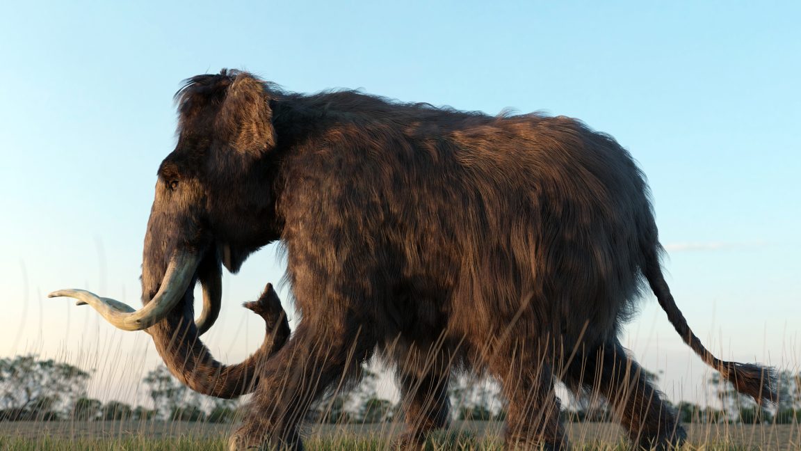 New study tracks a mammoth’s travels across Alaska - Ars Technica