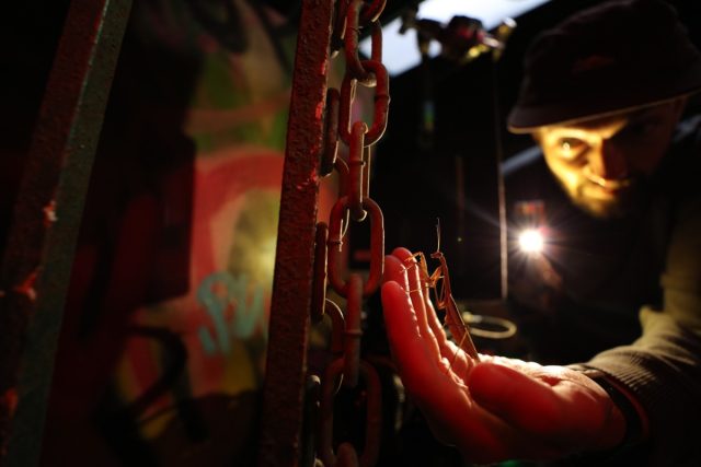 Inside the making of National Geographic’s A Real Bug’s Life docuseries ...