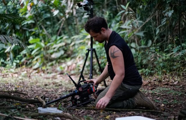 Inside the making of National Geographic’s A Real Bug’s Life docuseries ...