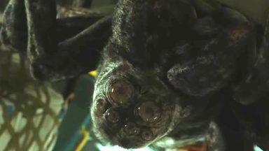 You had us at “friendly alien space spider”: Netflix drops Spaceman ...