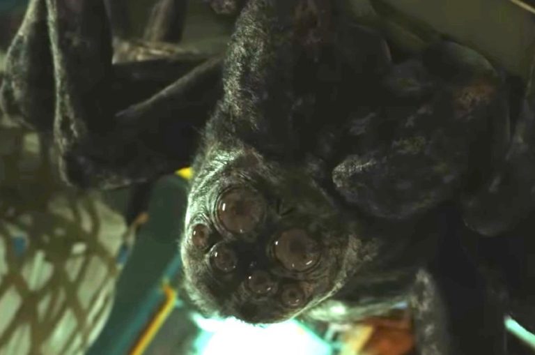 You had us at “friendly alien space spider”: Netflix drops Spaceman ...