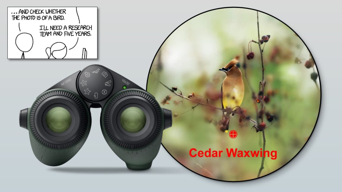 Famous xkcd comic becomes reality with AI bird-identifying binoculars ...