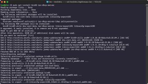 Doing DNS and DHCP for your LAN the old way—the way that works - Ars ...