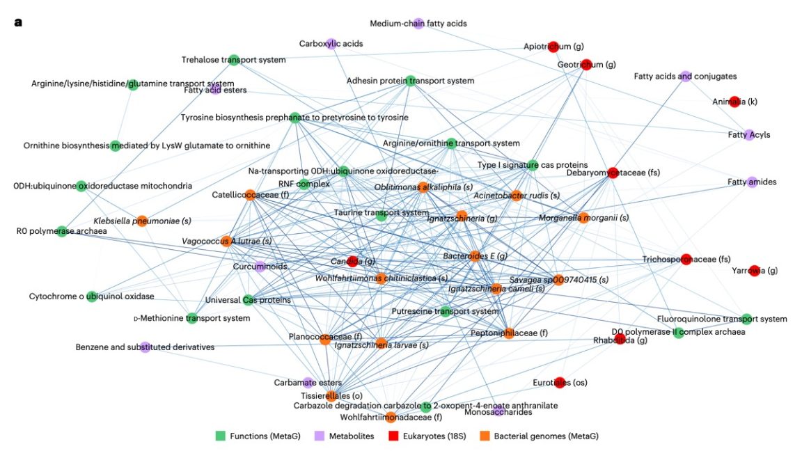 Scientists identify “universal network” of microbes for decomposing ...