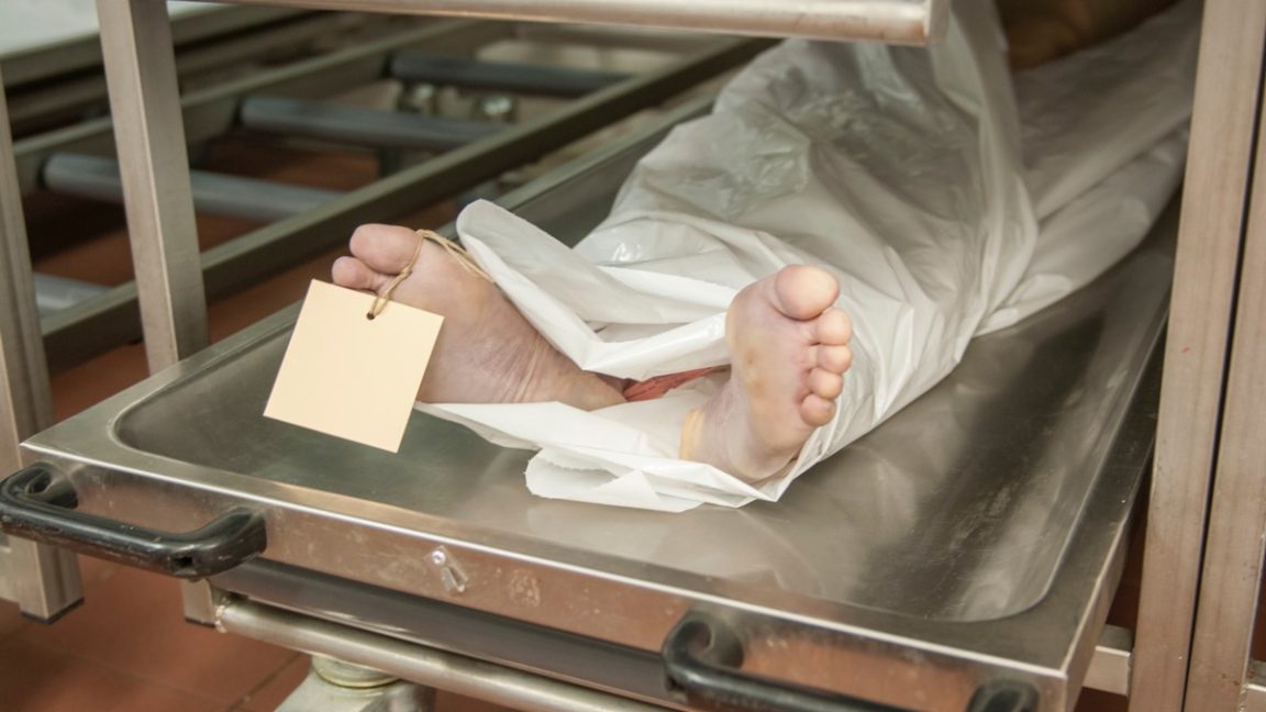 Scientists identify “universal network” of microbes for decomposing ...