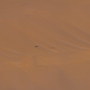 Final images of Ingenuity reveal an entire blade broke off the ...