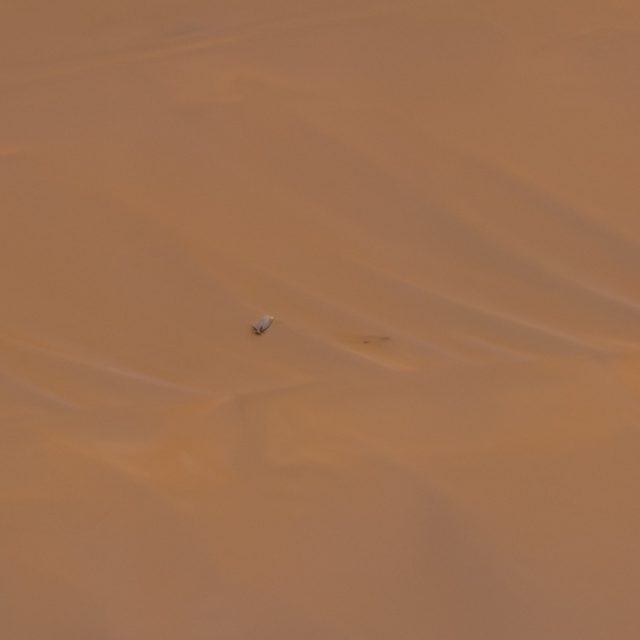 Final images of Ingenuity reveal an entire blade broke off the ...