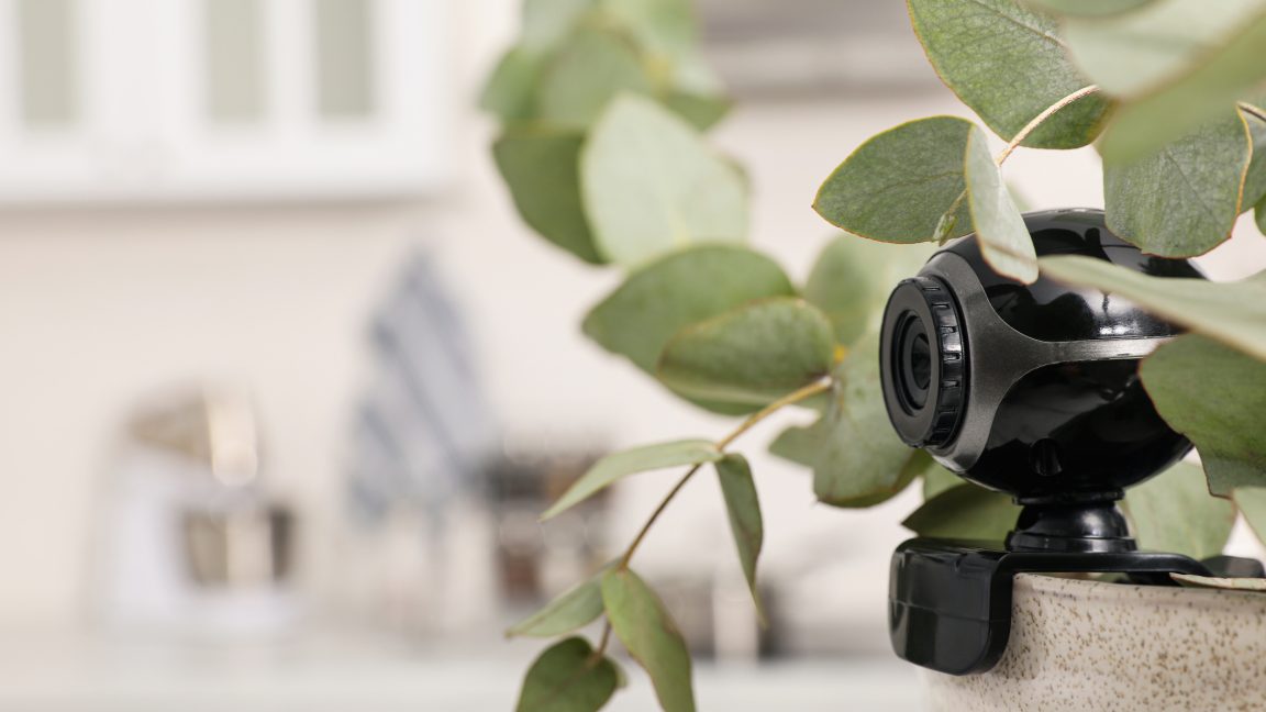 Airbnb bans creepy surveillance cameras inside rentals starting April ...