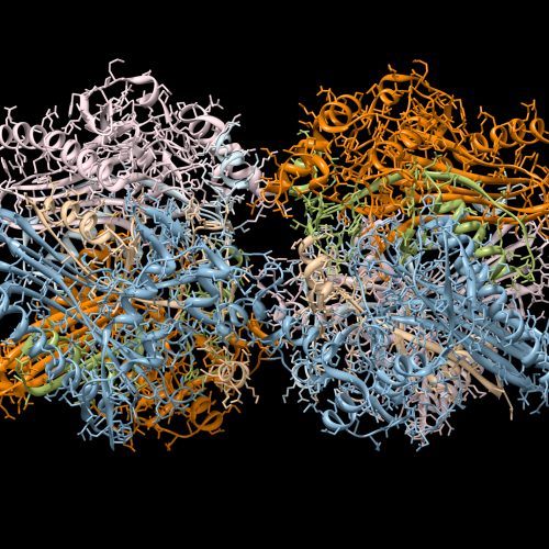 Tag: protein structure - Ars Technica
