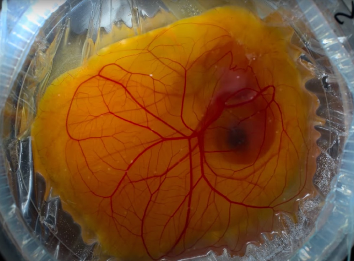 NatGeo’s Photographer flips the lens to focus on visual storytellers ...