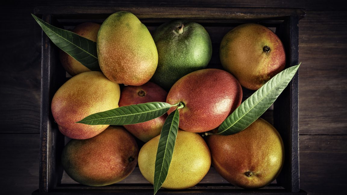 Crypto influencer guilty of $110M scheme that shut down Mango Markets ...