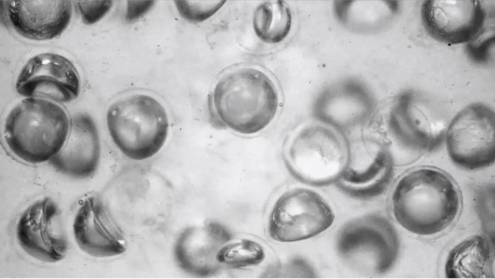 Tiny rubber spheres used to make a programmable fluid - Ars Technica