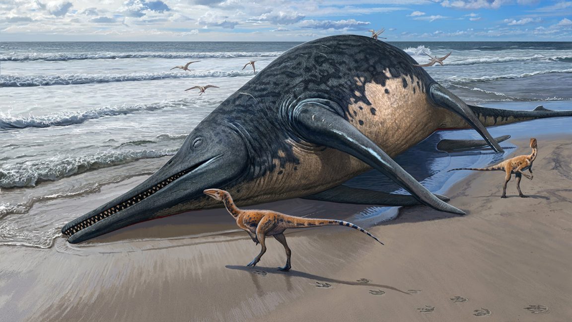 The largest marine reptile ever could match blue whales in size - Ars ...