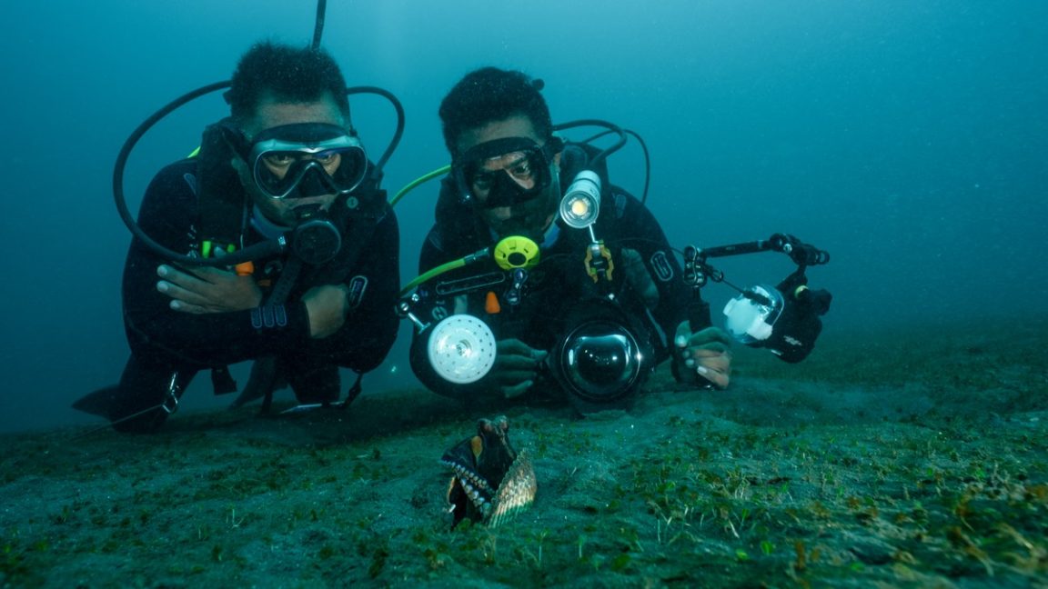 Secrets of the Octopus takes us inside the world of these “aliens on ...