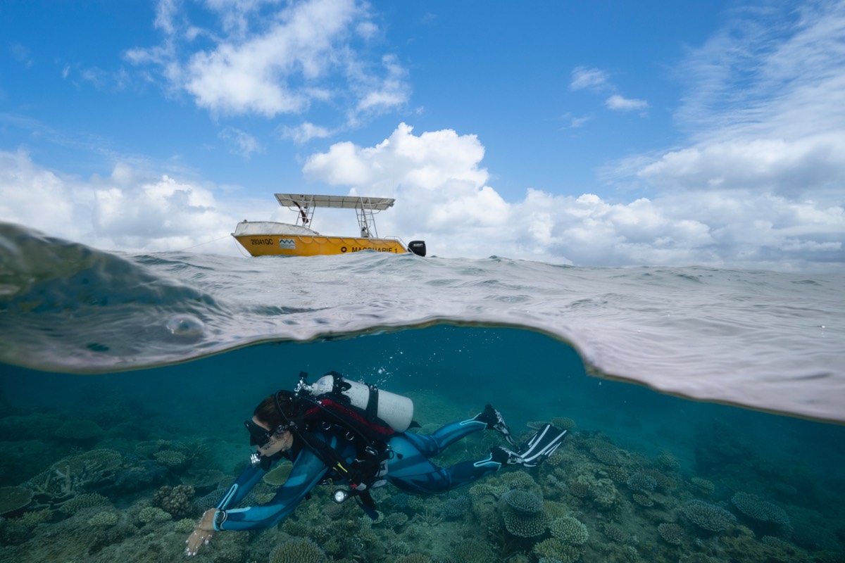 Secrets of the Octopus takes us inside the world of these “aliens on ...