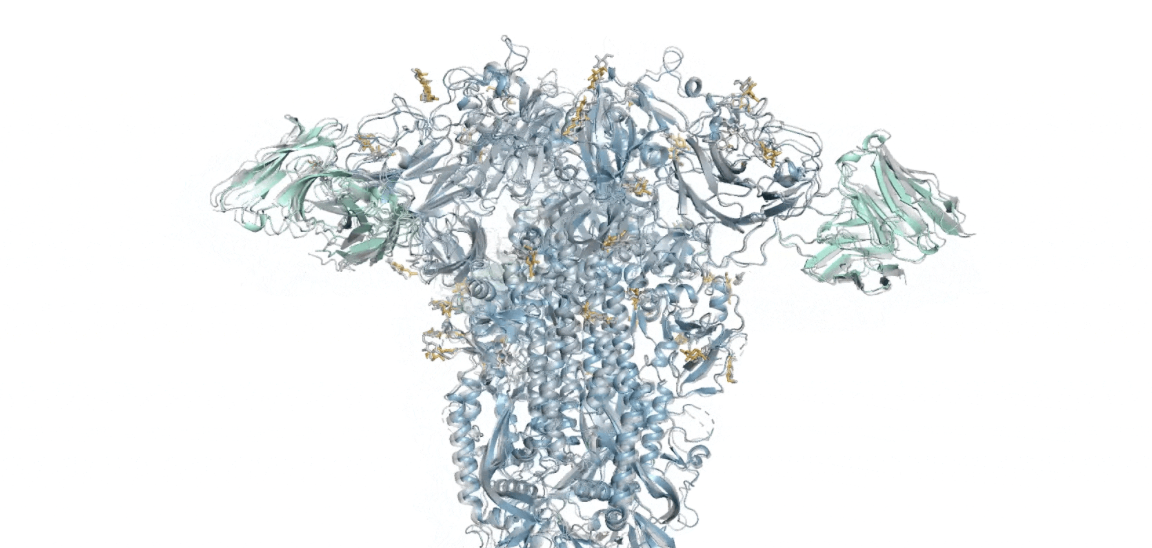 DeepMind adds a diffusion engine to latest protein-folding software ...