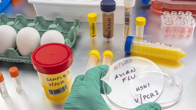 RFK Jr. yanks pandemic vaccine funding as Moderna reports positive ...