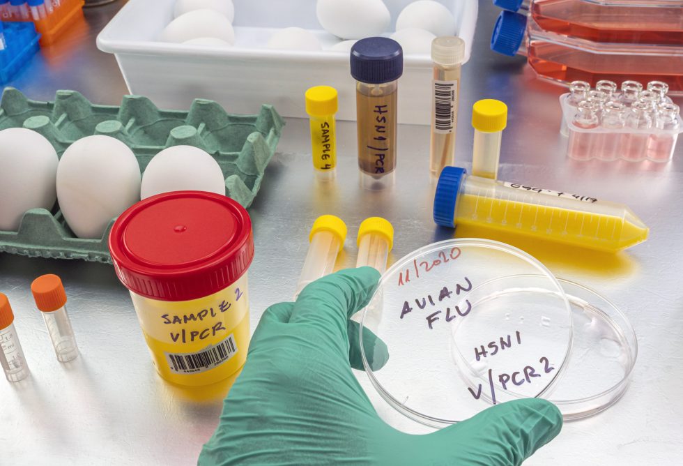 RFK Jr. yanks pandemic vaccine funding as Moderna reports positive ...