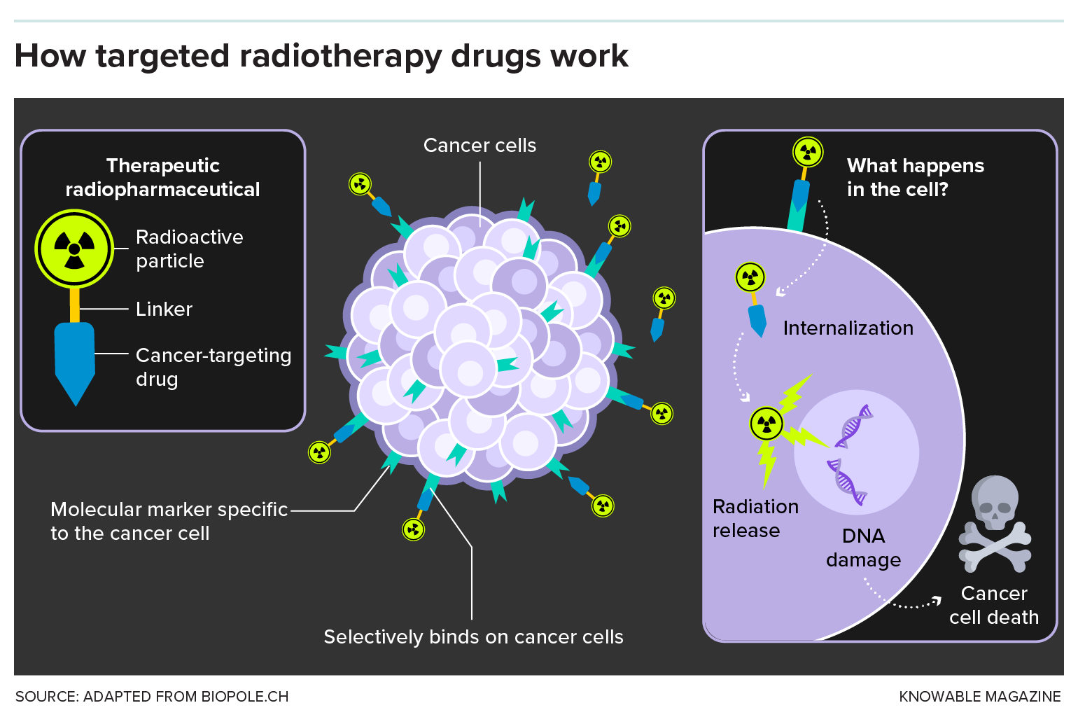 Radioactive drugs strike cancer with precision - Ars Technica