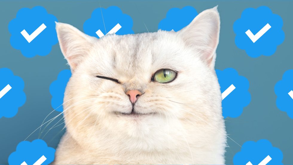 Butts, breasts, and genitals now explicitly allowed on Elon Musk’s X ...