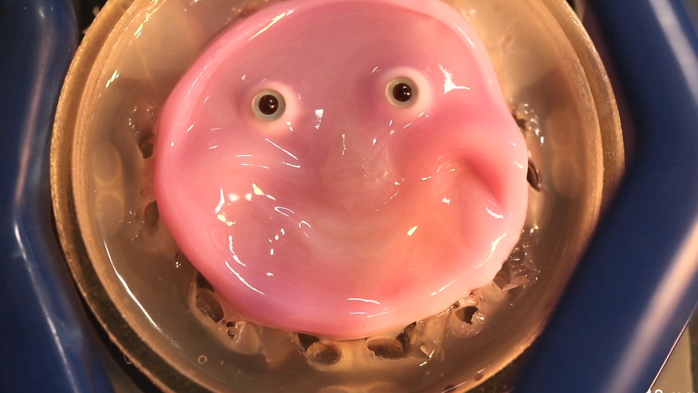 Researchers craft smiling robot face from living human skin cells - Ars ...
