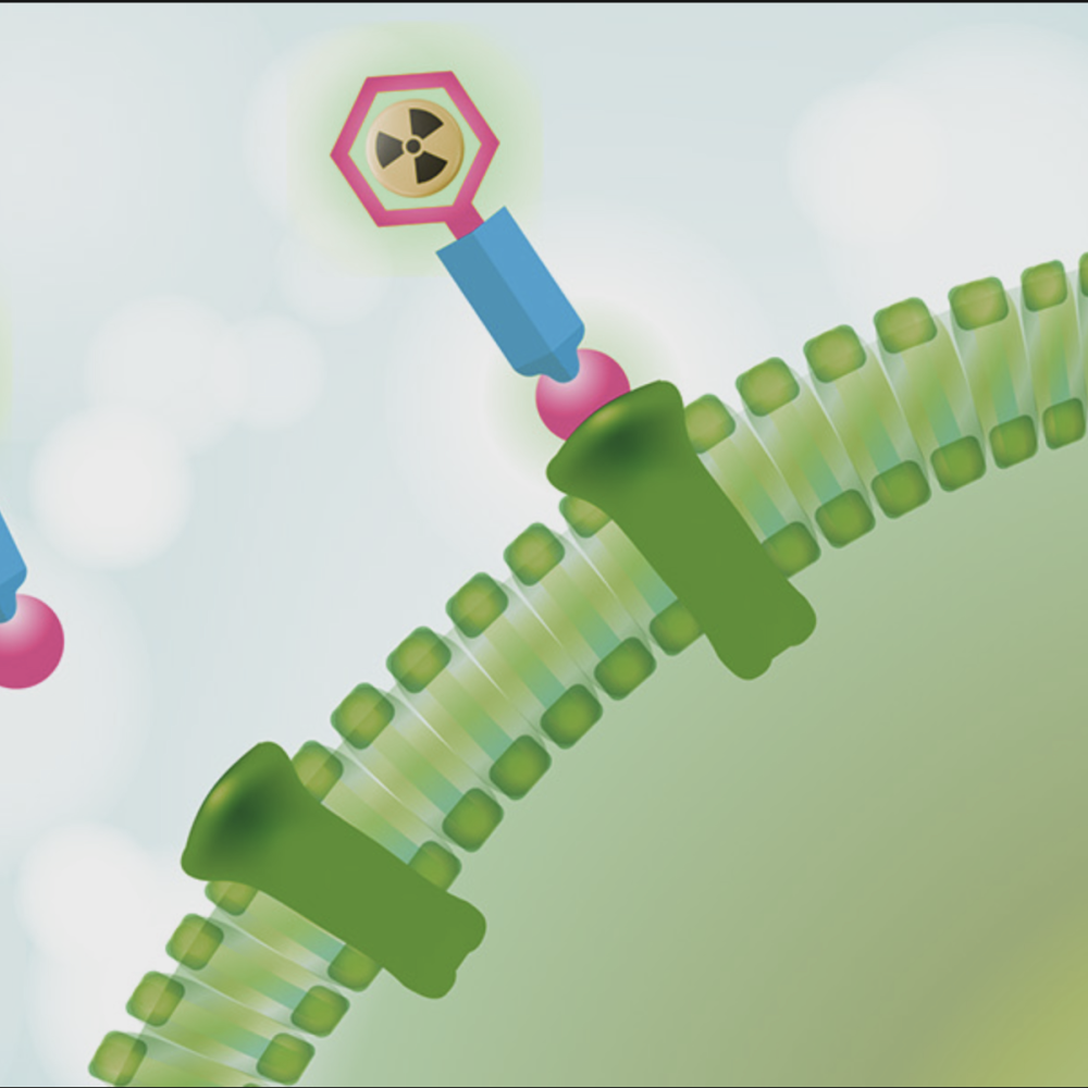 Tag: cancer drugs - Ars Technica