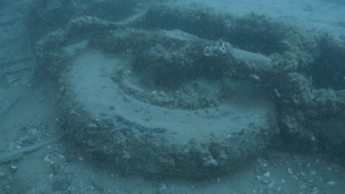 NatGeo documents salvage of Tuskegee Airman’s lost WWII plane wreckage ...