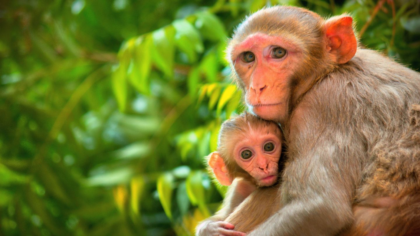 Thanks, Internet! It’s now shockingly easy to become an international ...