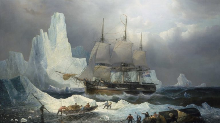 DNA identifies four more crew members of doomed Franklin expedition ...