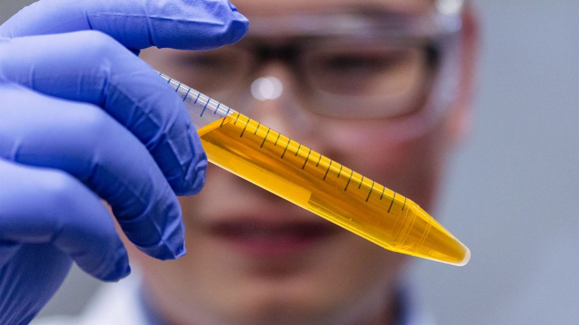 Mice made transparent with a dye used in Doritos - Ars Technica