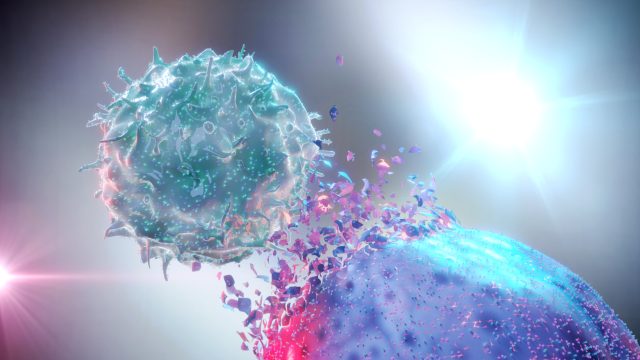 Your cells are dying. All the time. - Ars Technica