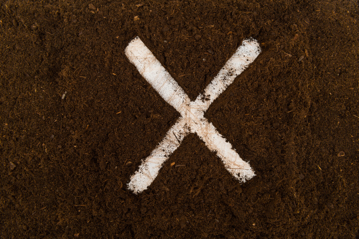 Toxic X users sabotage Community Notes that could derail disinfo ...