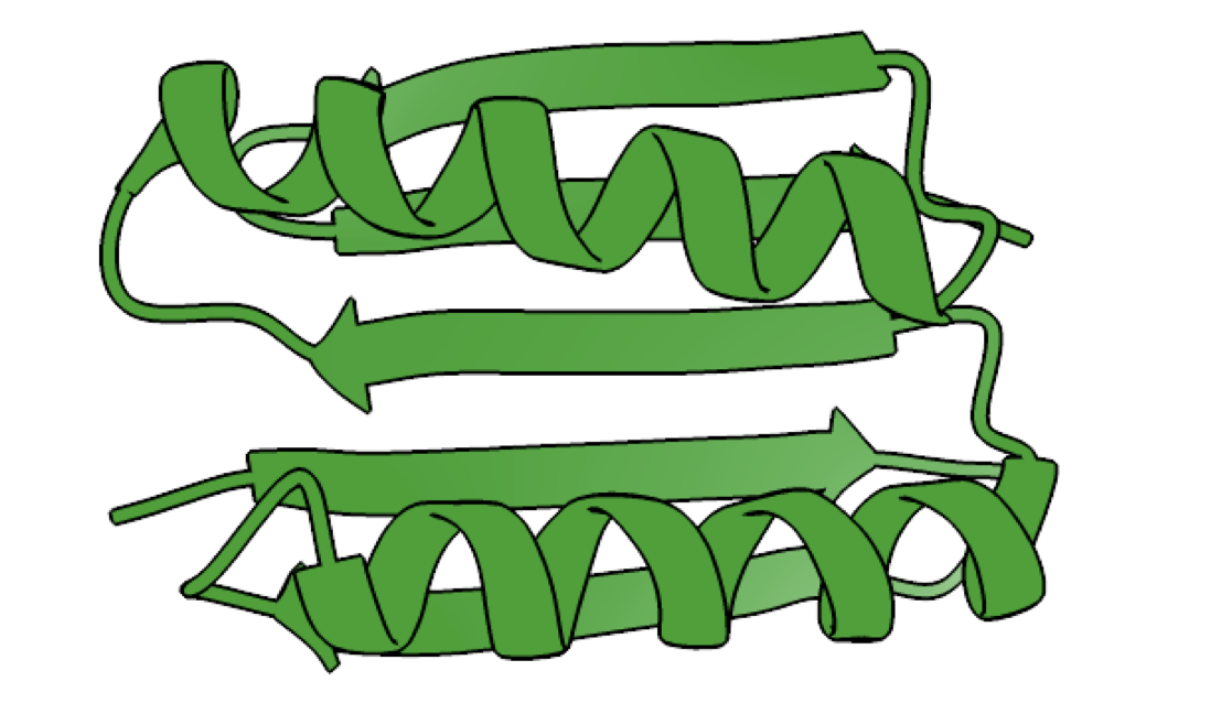Protein structure prediction wins the Nobel - Ars Technica