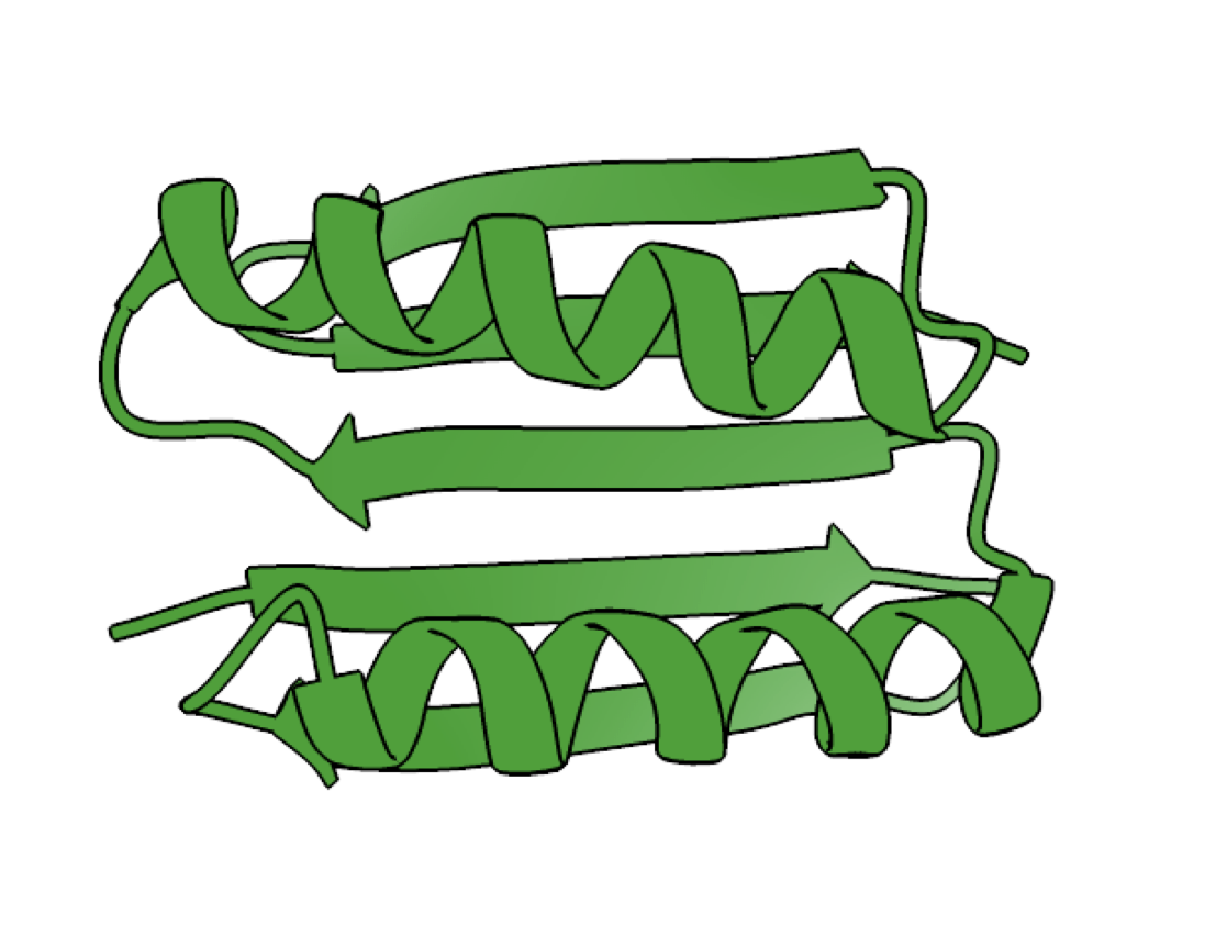 Protein structure prediction wins the Nobel - Ars Technica