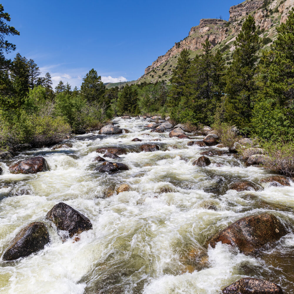 Author: Inside Climate News - Ars Technica