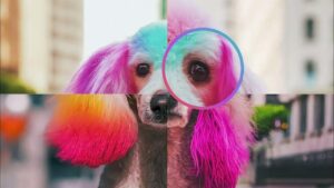 Google offers its AI watermarking tech as free open source toolkit ...