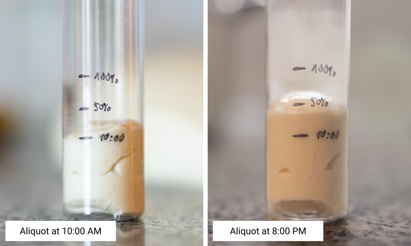Flour, water, salt, GitHub: The Bread Code is a sourdough baking framework - Ars Technica