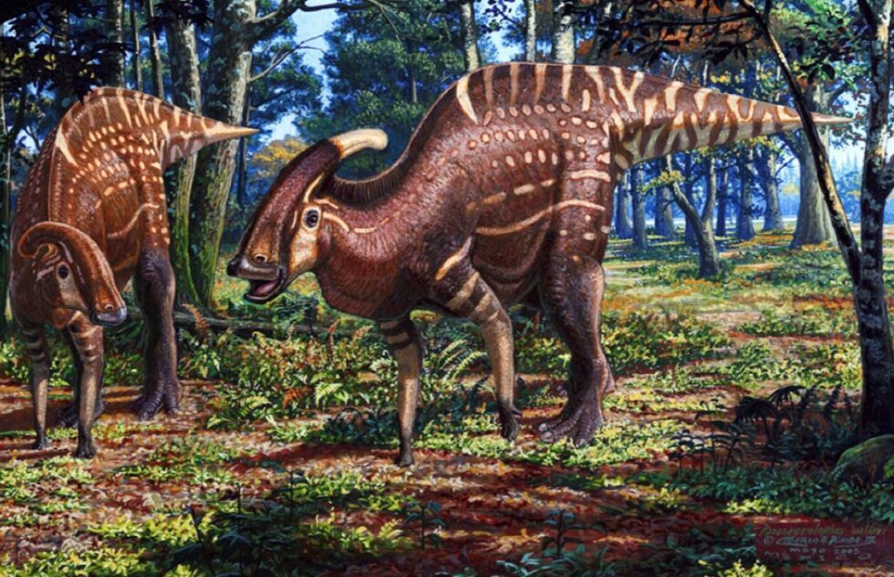 We’re closer to re-creating the sounds of Parasaurolophus - Ars Technica