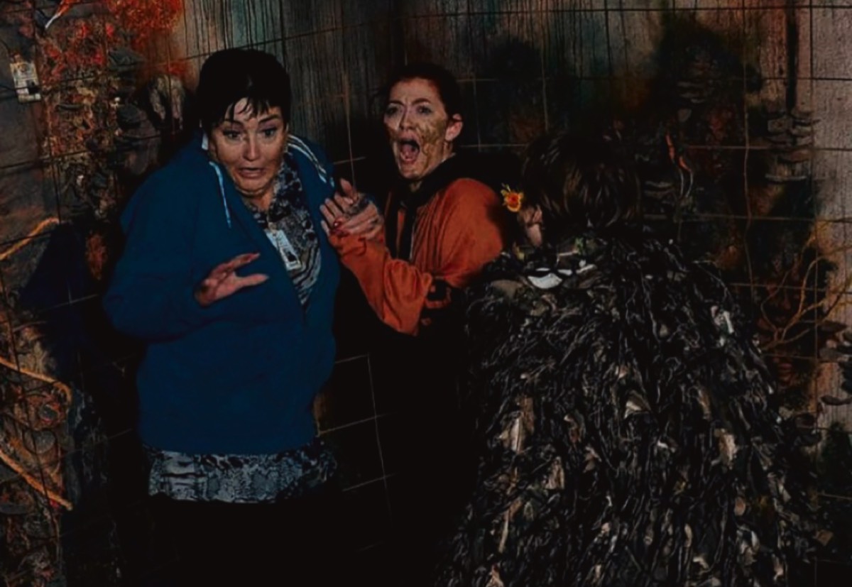 Can going to a haunted house boost the immune system? - Ars Technica