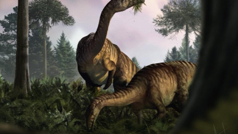 What fossilized dino feces can tell us about their rise to dominance ...