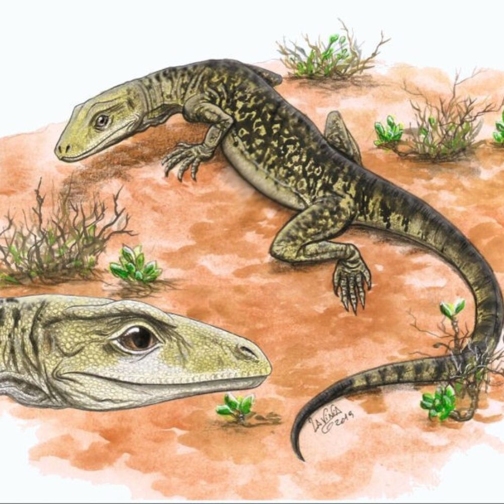 Category: Science - Ars Technica