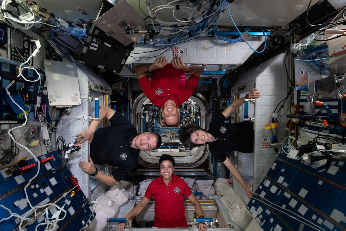 A small microbial ecosystem has formed on the International Space ...