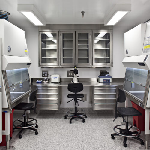 Author: Beth Mole - Ars Technica